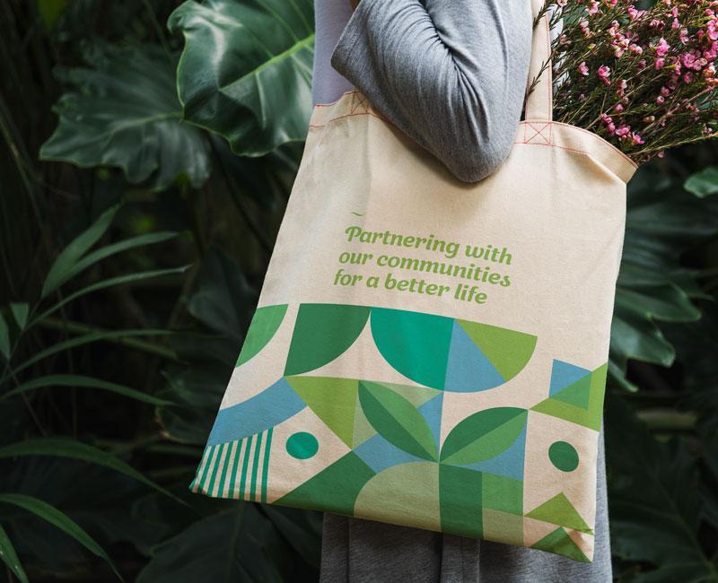 Panda Brand Consolidation - 2021 - Brandellia